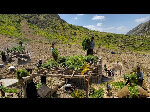 IRAN nomadiclife | How Do Nomads Build Canopies? Building a Wooden Summer Canopies in Nomadic Life 🌄