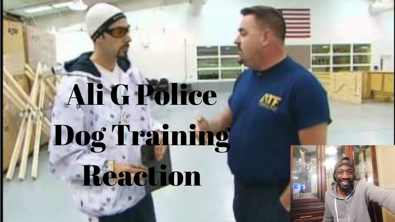 Ali G Dog Training Reaction - YouTube