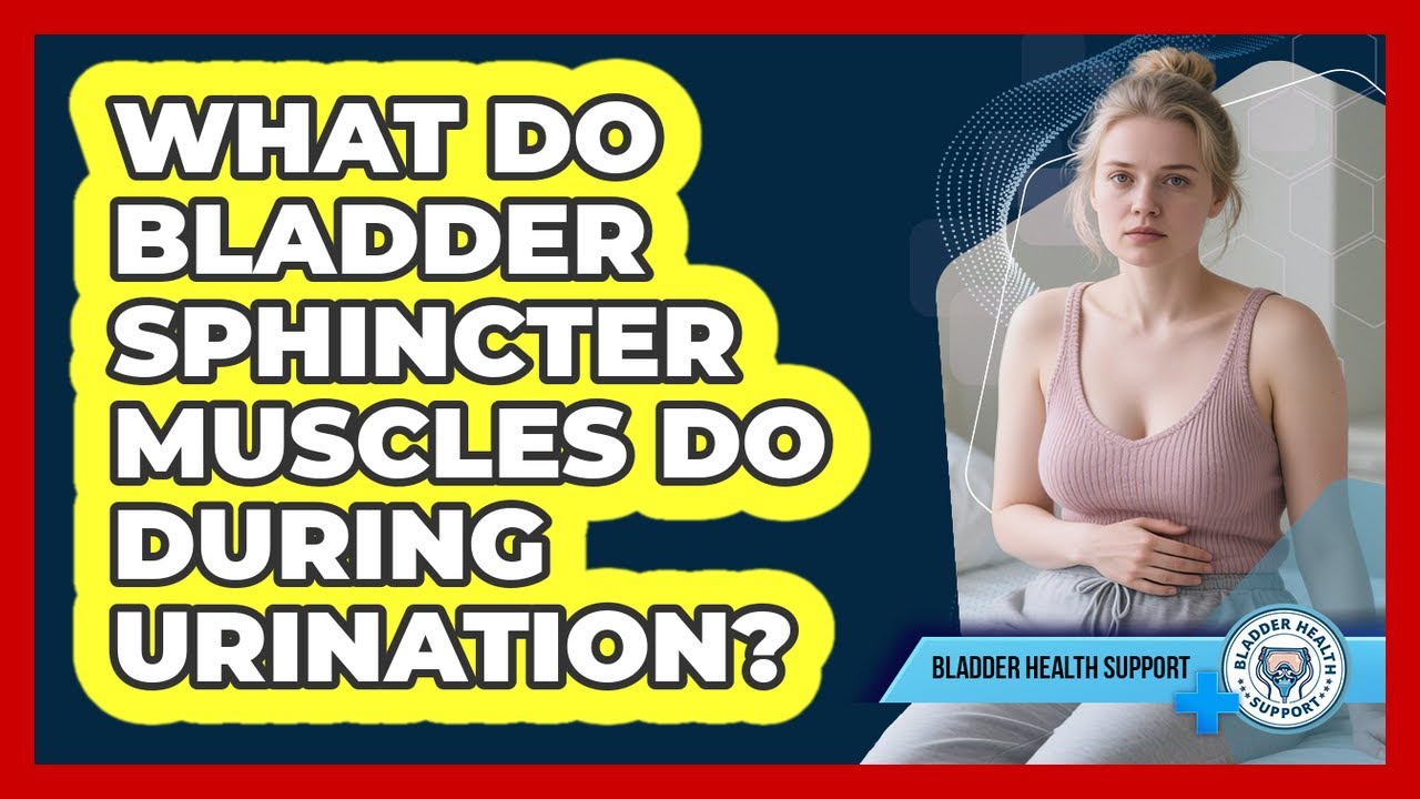 What Do Bladder Sphincter Muscles Do During Urination? - Bladder Health ...