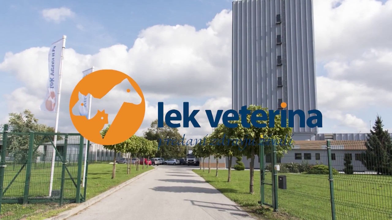 Lek Veterina - YouTube