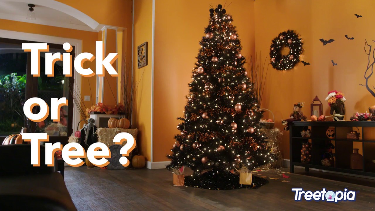 Trick or Tree? Black Halloween Tree from Treetopia™ - YouTube