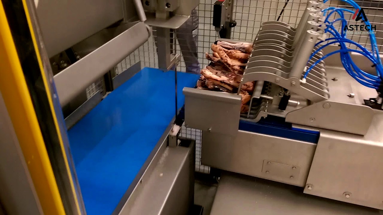 Octopus HR - YouTube