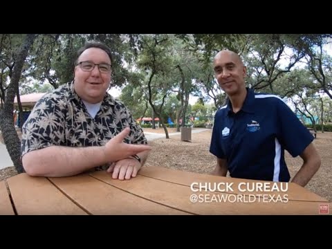 SeaWorld San Antonio with Chuck Cureau - Bonus Episode - BTRW Podcast ...