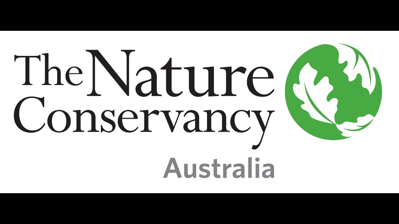 Windara Shellfish Reef restoration project - YouTube