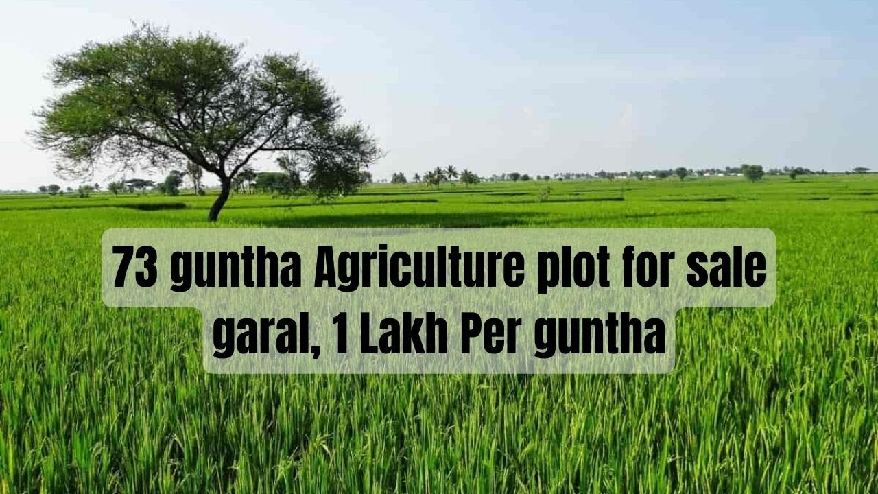 73 Guntha Agriculture plot for sale. Garal , Mangaon, Raigad.1 Lakh Per ...