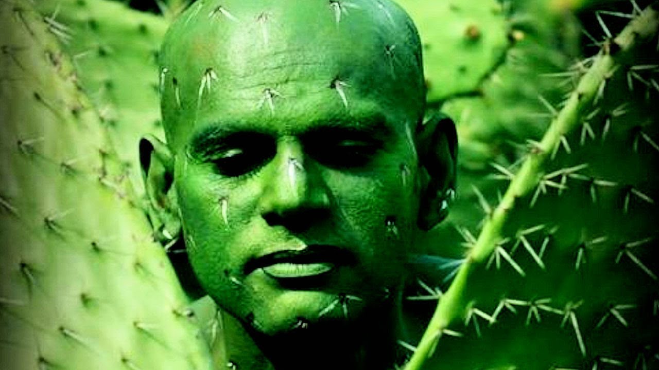 Funny special VII Morphing - YouTube