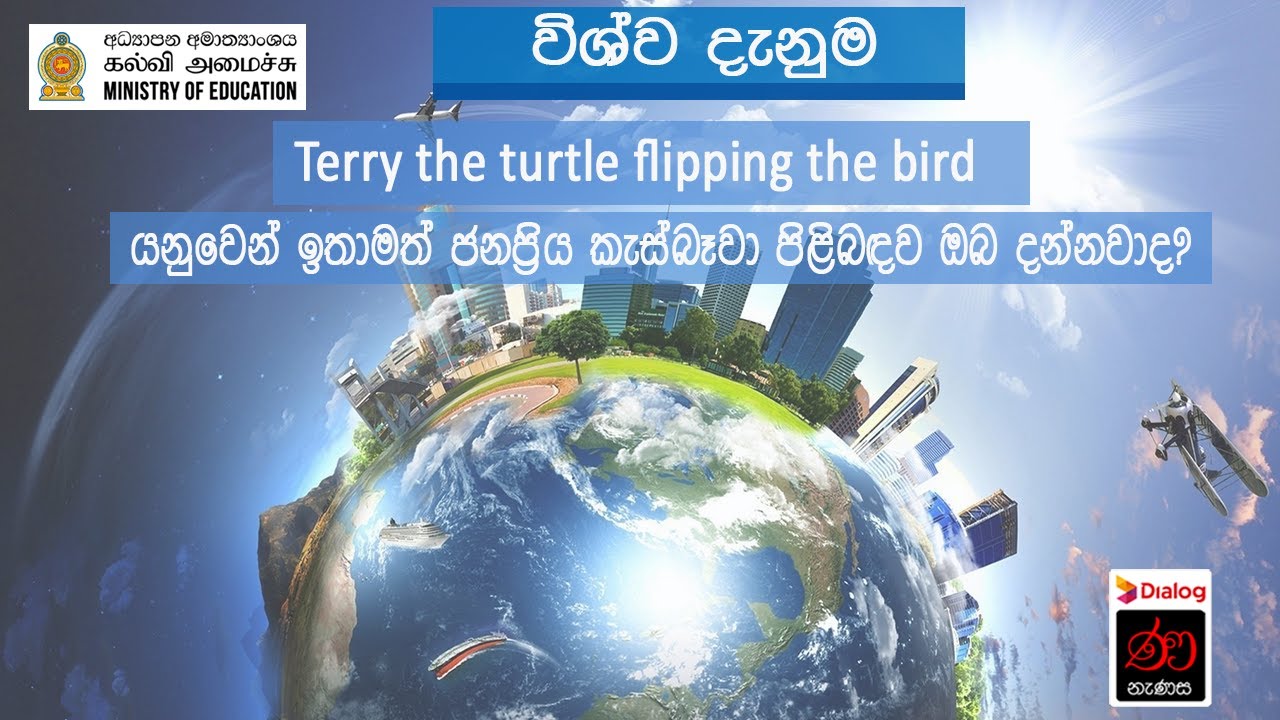 විශ්ව දැනුම| Terry the turtle flipping the bird යනුවෙන් හඳුන්වන ...