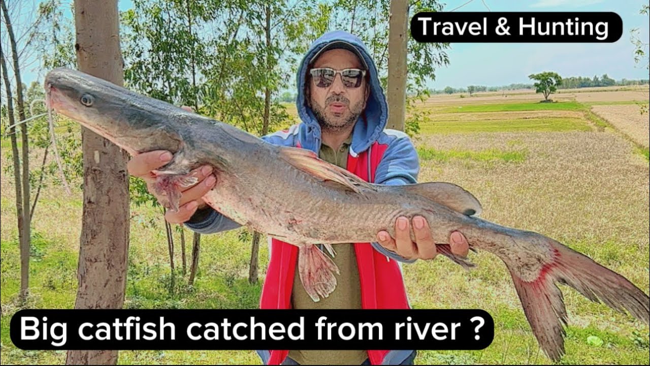Fishing in Pakistan || big catfish we catched from river || watch and ...