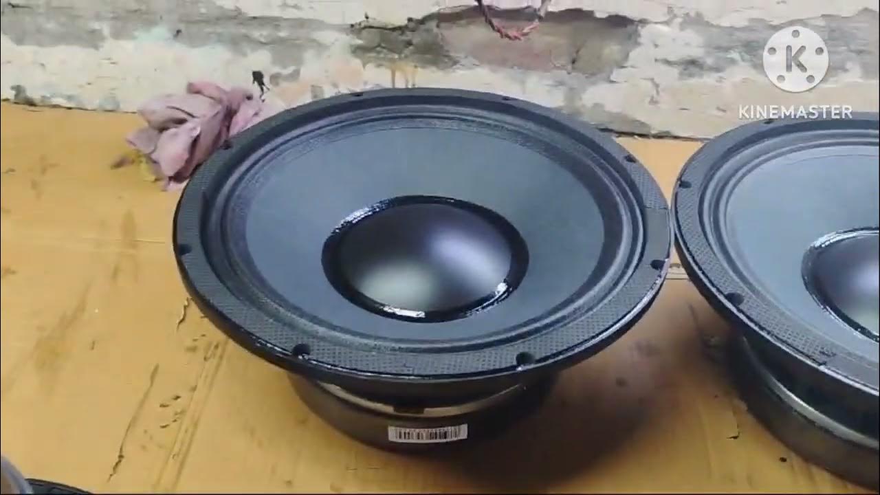 12" 200/25/3.5"powerful mid speaker,800 watt - YouTube