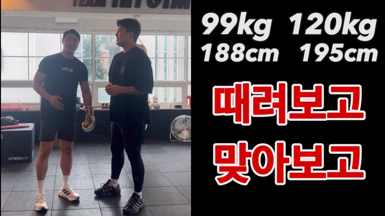 전직 야구선수 강동연 195cm 120kg (때려보고 맞아보기) - YouTube