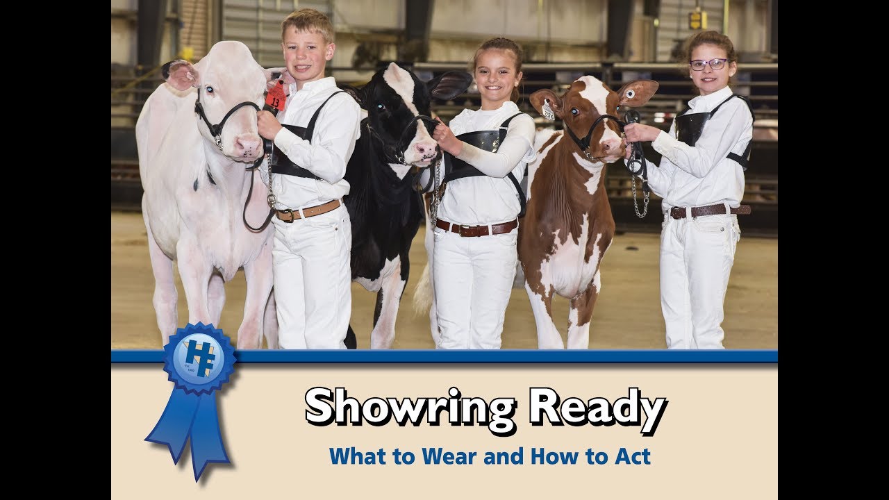 Showring Ready: What to Wear & How to Act - YouTube