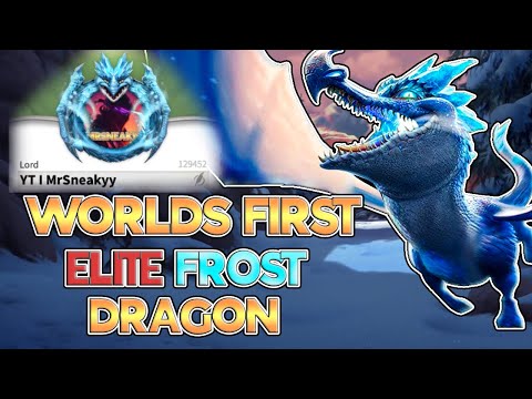 You Wanting To Kill The ELITE FROST Dragon?! Full guide & Livestream ...