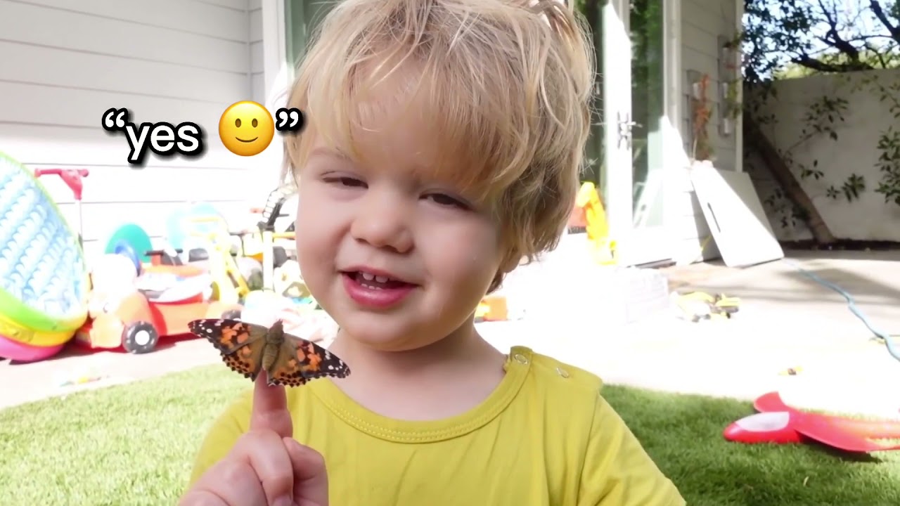 Flynn Stocklin being adorable for 3 minutes and 24 seconds straight ...