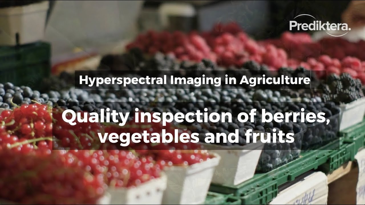 Agriculture application: Quality inspection of berries, vegetables and ...
