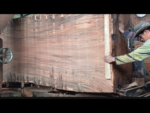AMAZING WOOD CUTTING !! PROFESSIONAL MAN CUTTING LARGE WOOD FOR KINGDOM ...