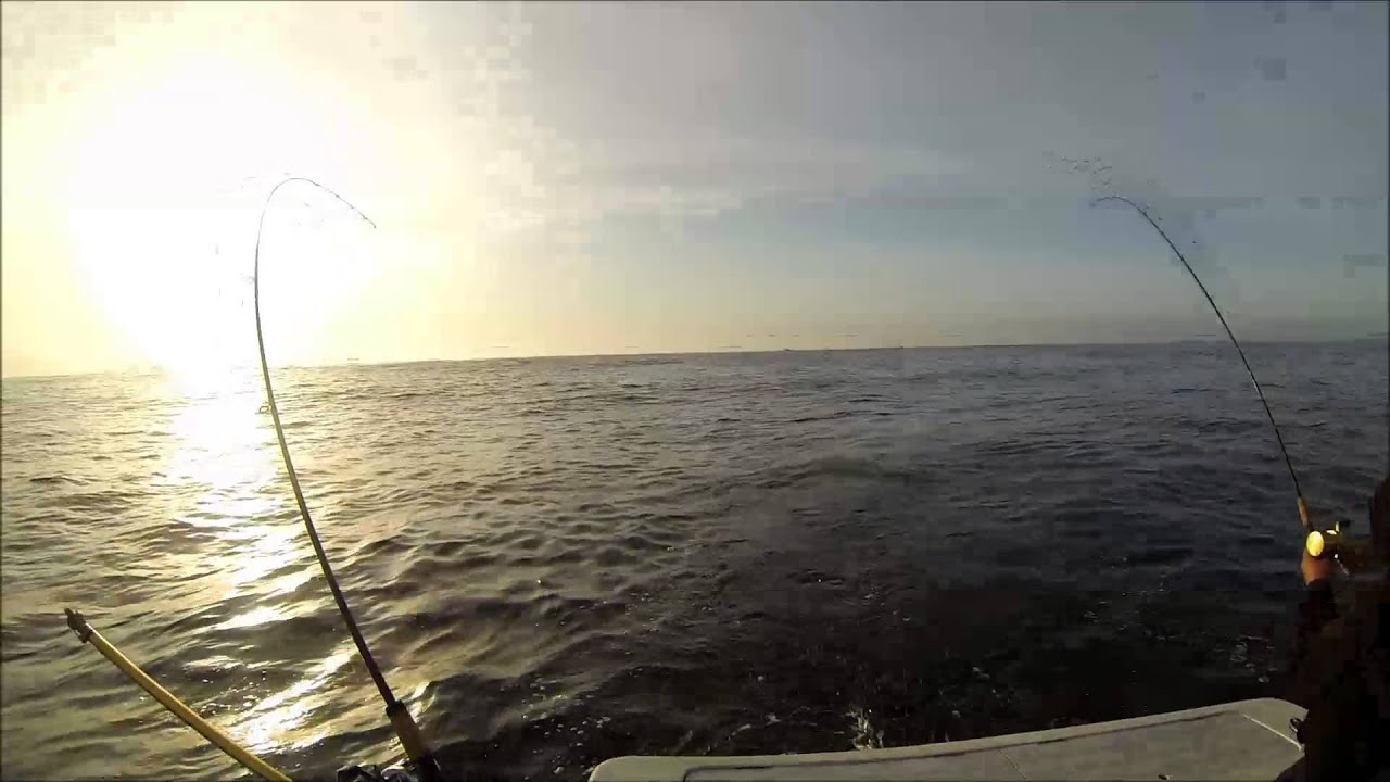 Santa Cruz Salmon Fishing - YouTube