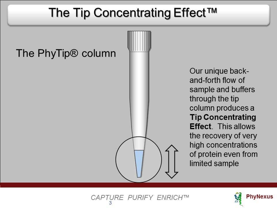 PhyNexus Tip Concentrating Effect. Short version. - YouTube