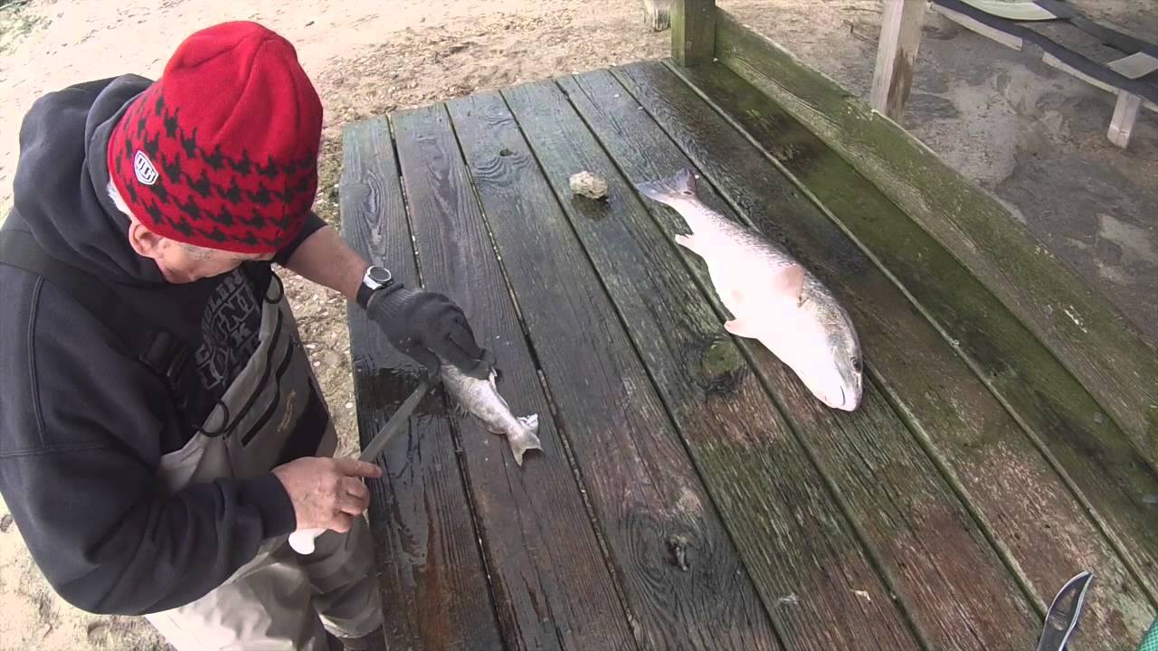 First time Red Fish - Outer Banks, NC - Buxton - YouTube