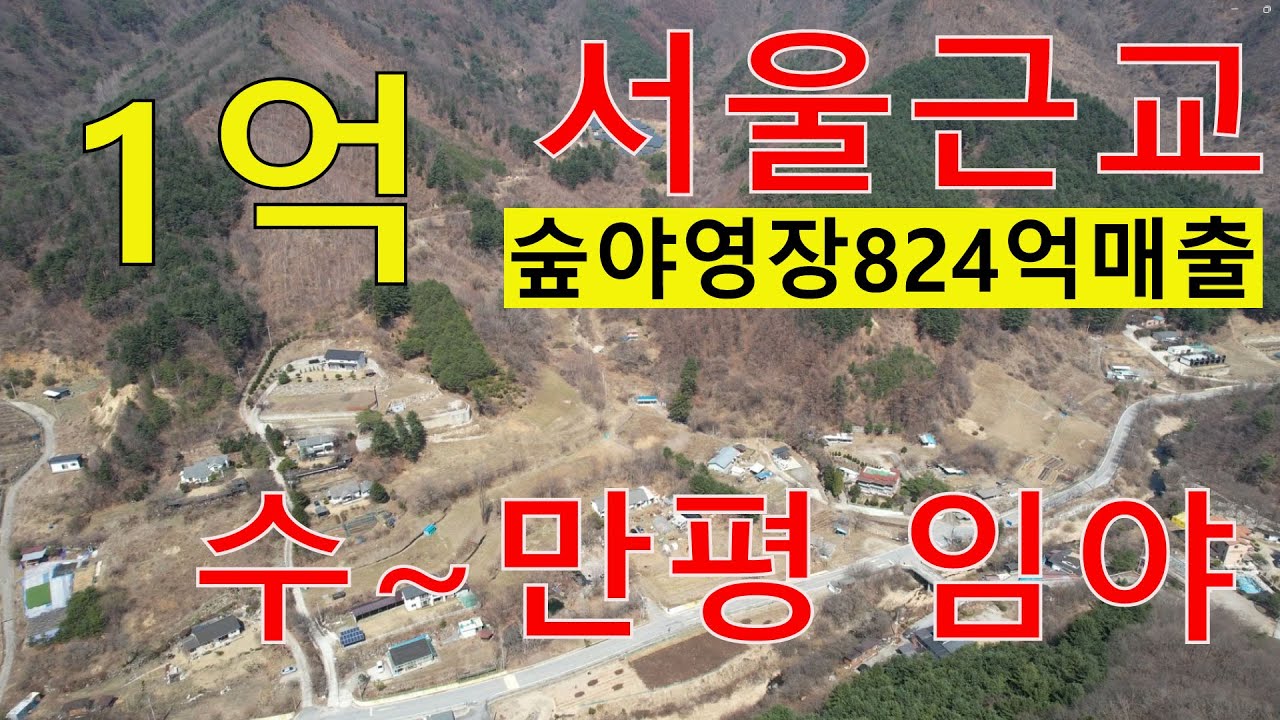 1억 서울근교 수~만평 보전관리포함 싼임야 공시가2억 시세67억 남향 건축가 자연인 전원생활 숲야영장힐링6차산업 숲카페숲팬션 약용재배 땅과함께새희망을경매임야 공매임야
