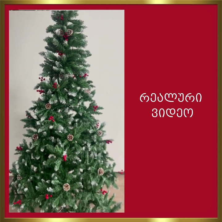 ნაძვის ხე პრაღა Youtube