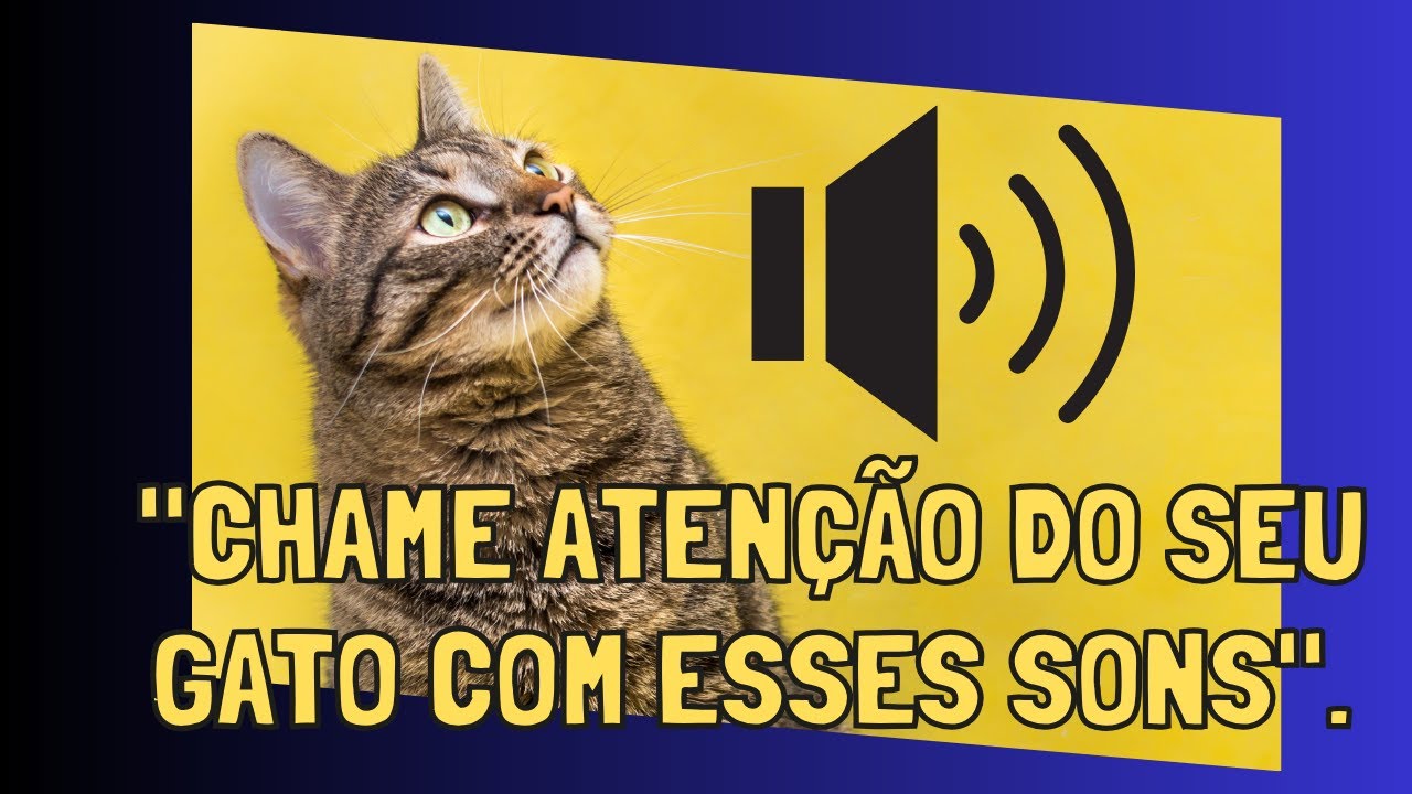 CHAME ATENÇÃO DO SEU GATO COM ESSES SONS - Sons que seus GATOS GOSTAM ...