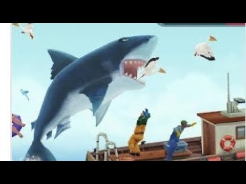 Hungry shark gameplay - YouTube