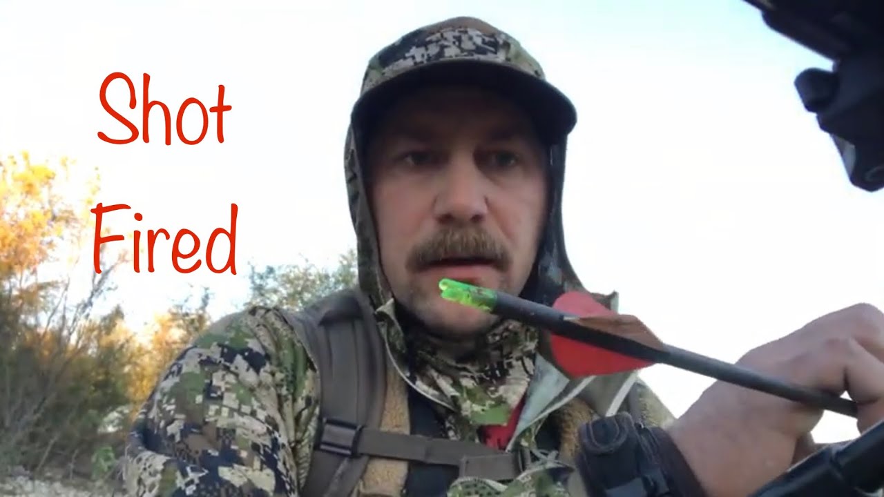 Bow hunting Texas Border Public Land Whitetail - YouTube