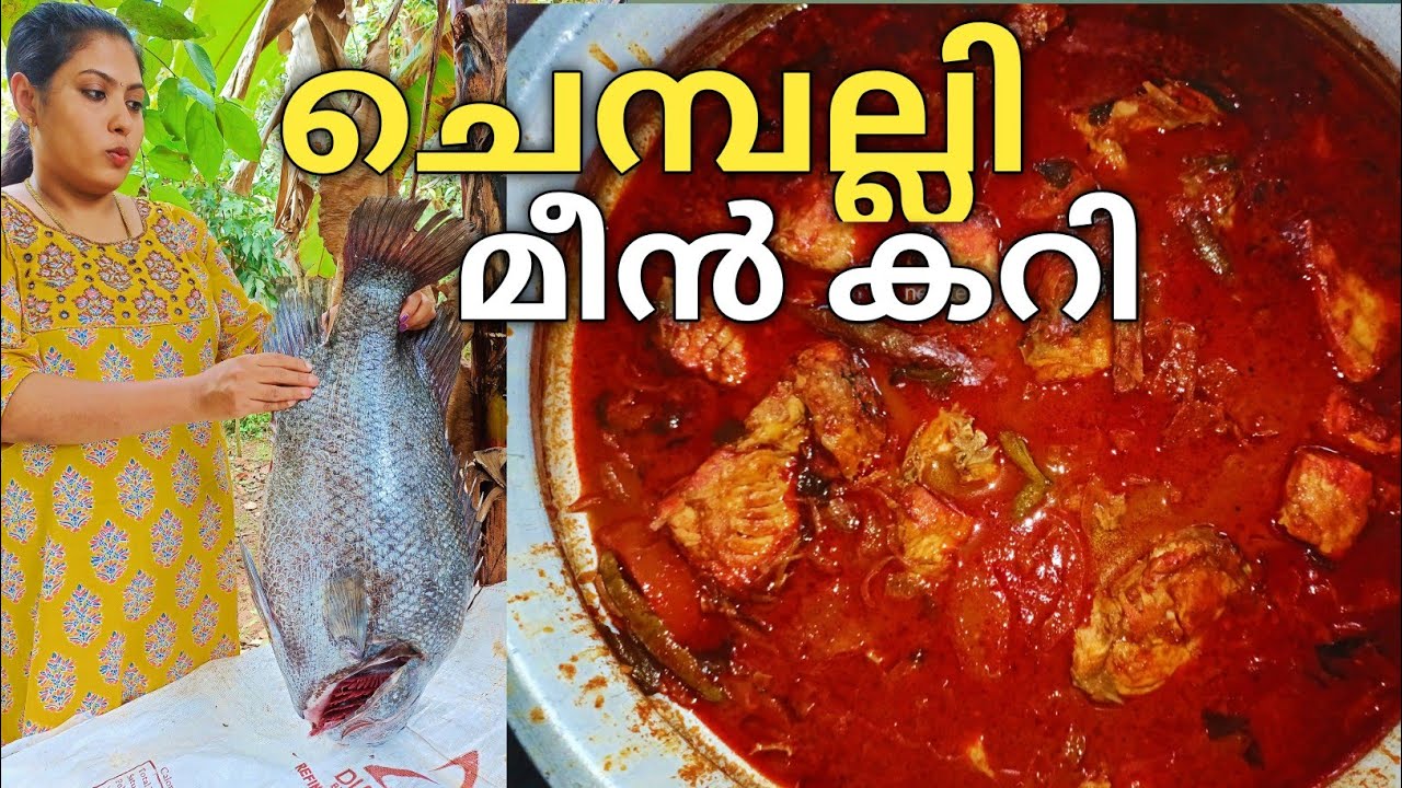 Chemballi Meen Curry |ഇത്ര രുചിയിൽ നിങ്ങൾ മീൻ കറി കഴിച്ചിട്ടുണ്ടാവില്ല ...