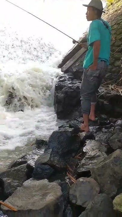 GORONG GORONG JADI SARANG IKAN - YouTube