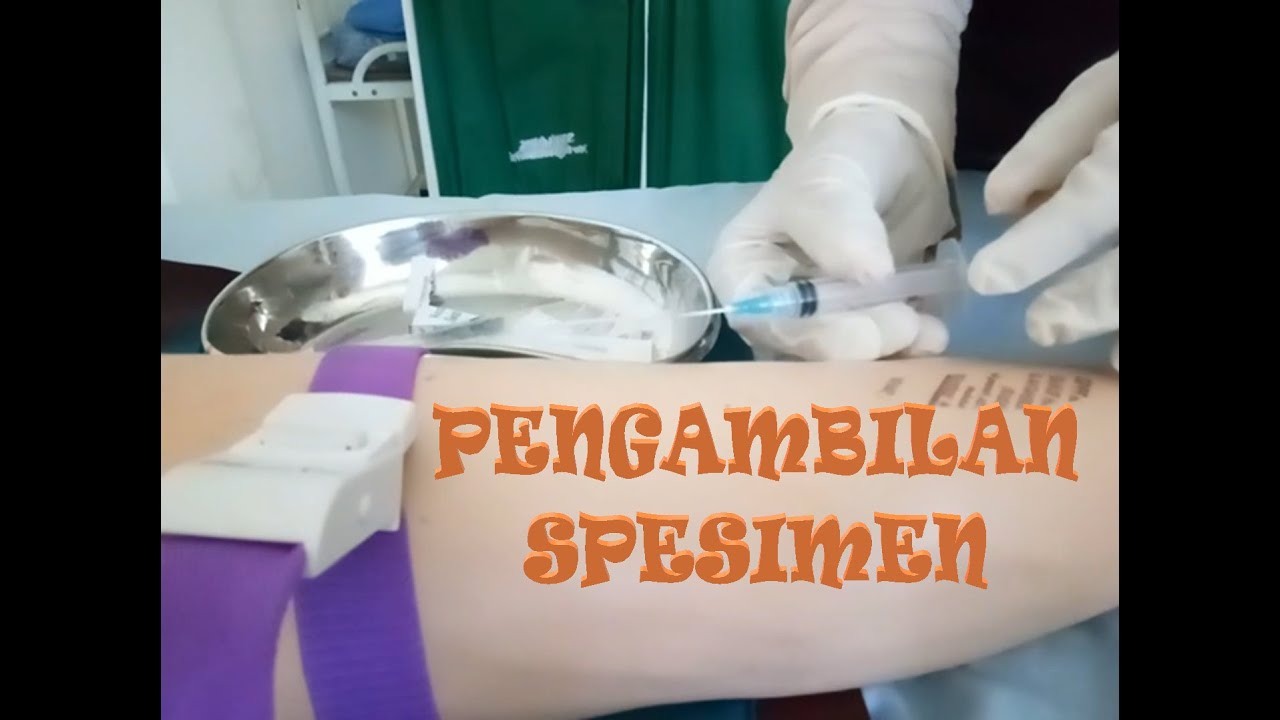 Pengambilan Spesimen | PraktikTes Laboratorium - YouTube