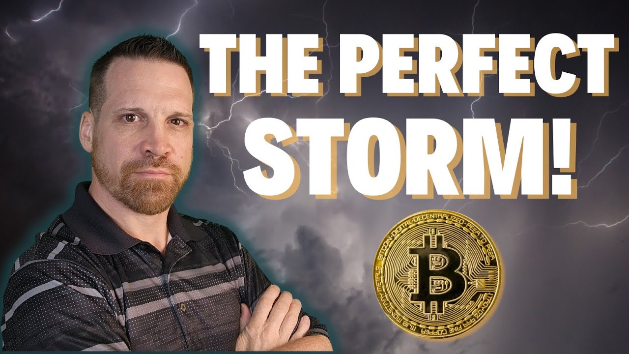 Do Bulls Run Towards Storms? Debunking the Myth