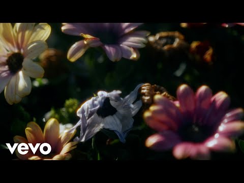 MezzoSangue - Valzer (Official Visual Video) ft. nayt