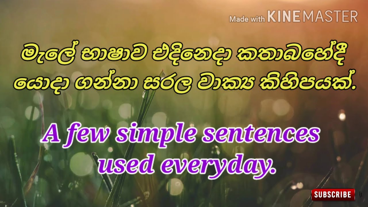 (Learn Malay)07). Simple sentences(සරල වාක්‍ය කිහිපයක්.)conversation ...