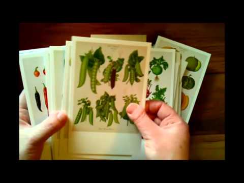 100 Fruit & Vegetables Postcard set from the Royal Horticultural ...