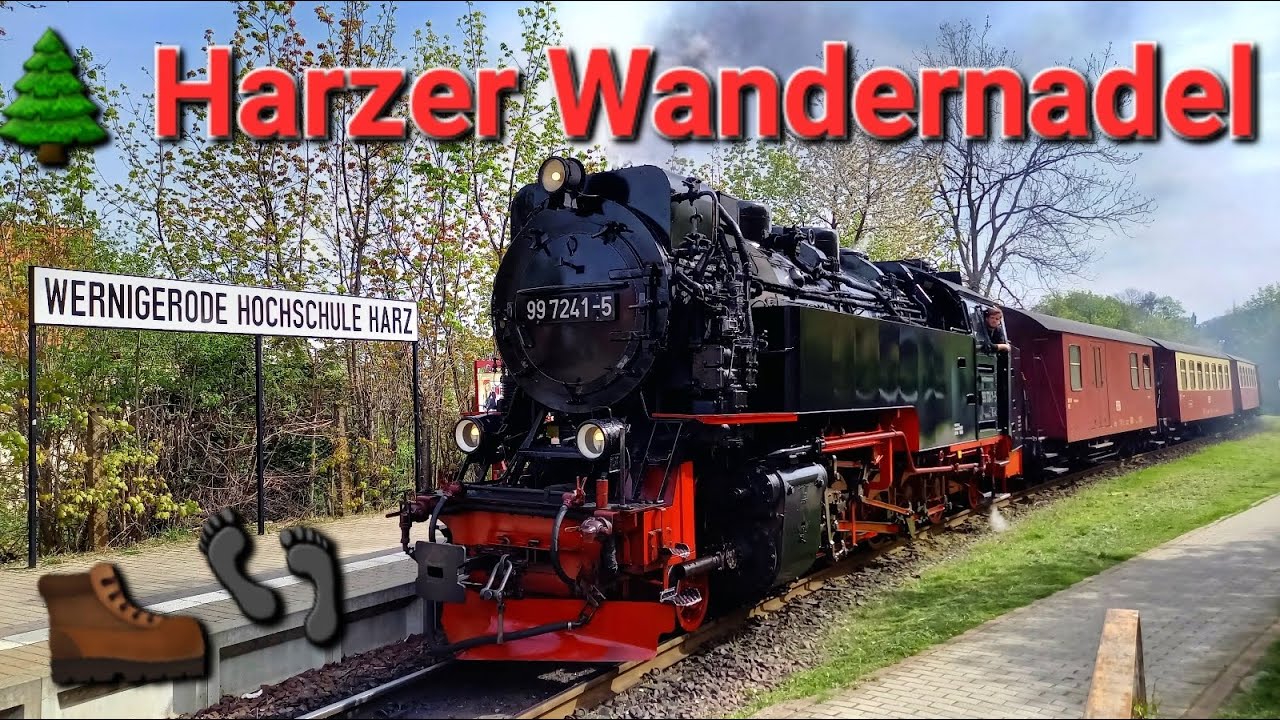 Harzer Wandernadel 🥾👣 Ottofelsen - Steinerne Renne - Mönchsbuche und ...