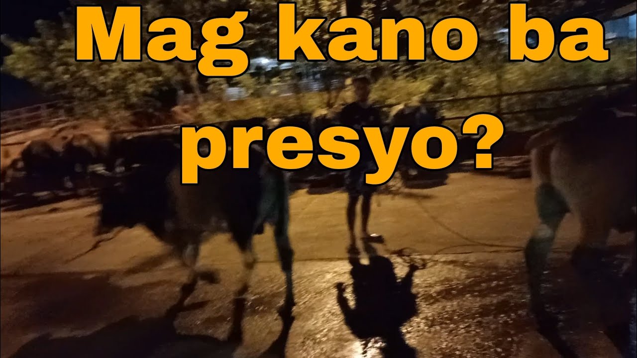 Paano ba i estimate ang pang katay#driverbuyandselltv - YouTube