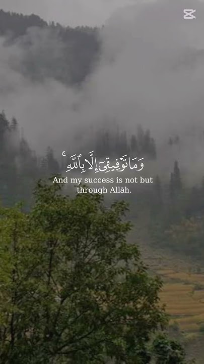 Surah Hud ️ My success comes only through Allah. In Him I trust and to Him I turn.☝️🤲👉🏻🇵🇸 - YouTube