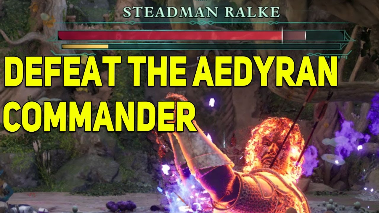 Avowed Defeat the Aedyran Commander, Steadman Ralke Boss Fight - YouTube
