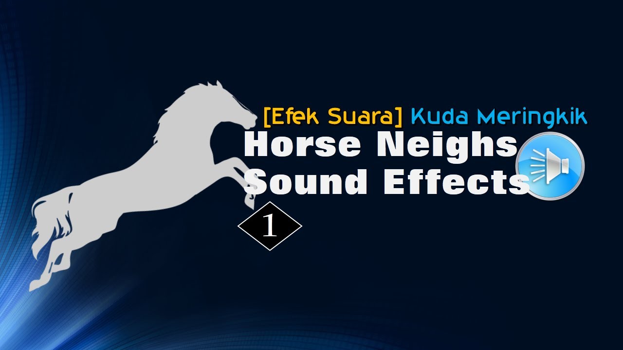Efek Suara || Kuda Meringkik 1 - YouTube