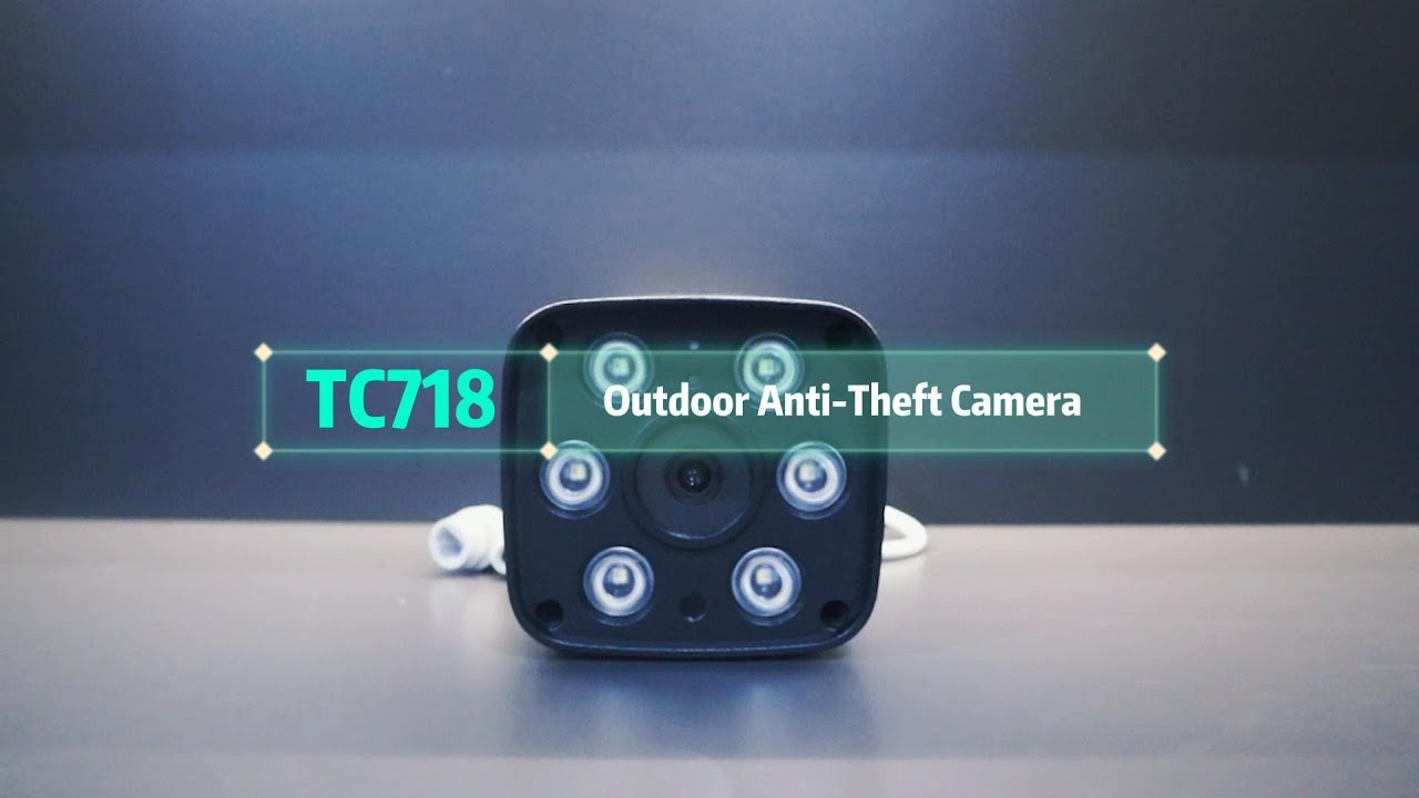 TC 718-Outdoor Anti-Theft Camera | Micronet Union Security Products ...