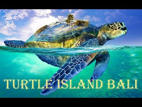 Turtle Island Bali Travel Educational Walkthrough Tour - YouTube