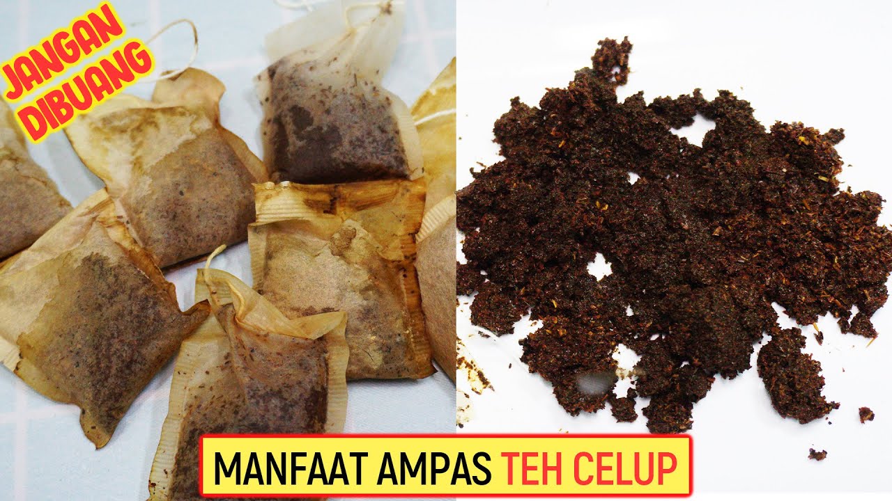 Jangan Dibuang, Inilah 9 Manfaat dari Ampas Teh Celup - YouTube