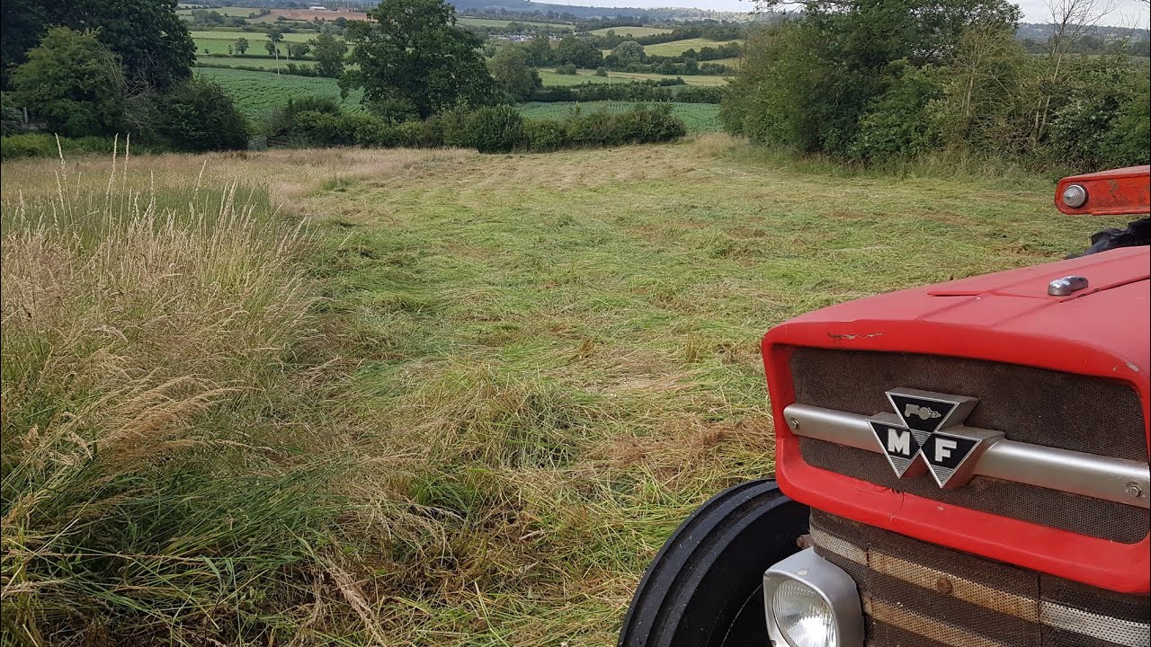 Massey Ferguson 135 Aktiv finger bar mower - YouTube