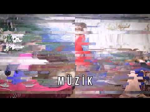 Kedicikten Harika Oryantel Dans