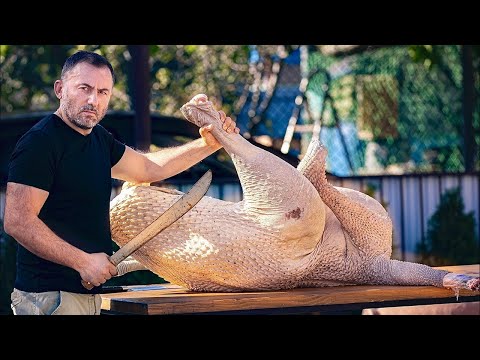 IZGARA DEVEKUŞU. KÖMÜRDE DEVEKUŞU ETİ.