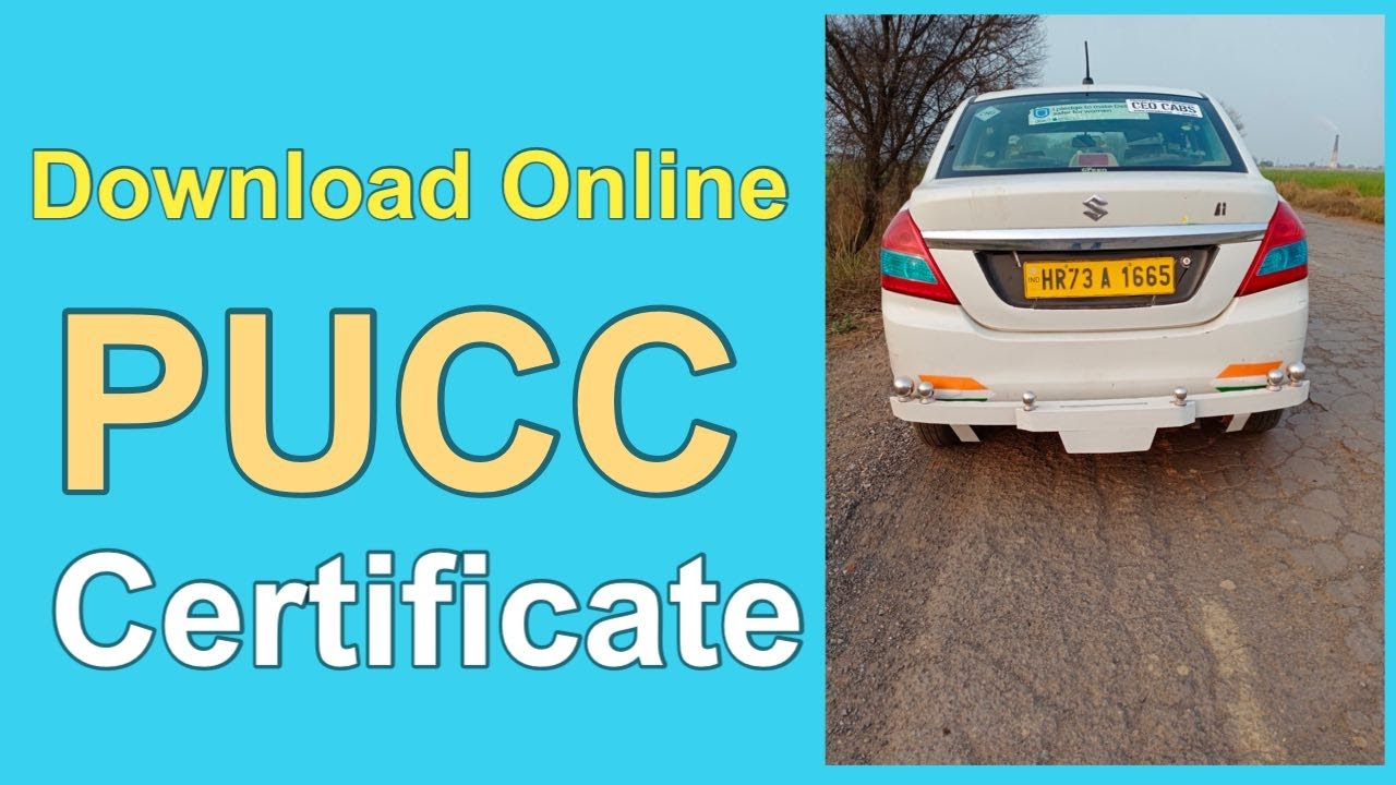PUCC Certificate Download online @DigitalDocuments - YouTube