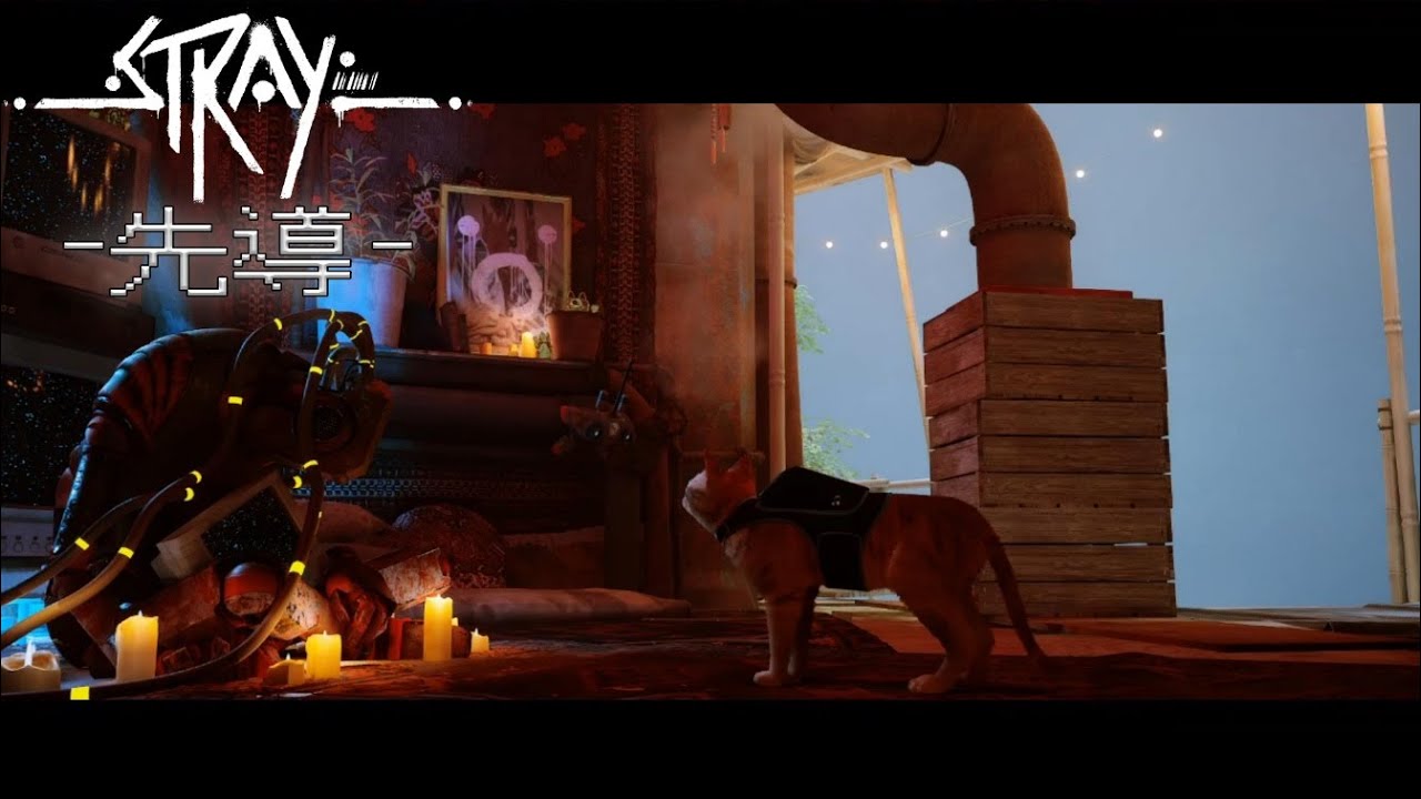 【Stray】Love CaTTTtt.【実況プレイ】Part 32 - YouTube