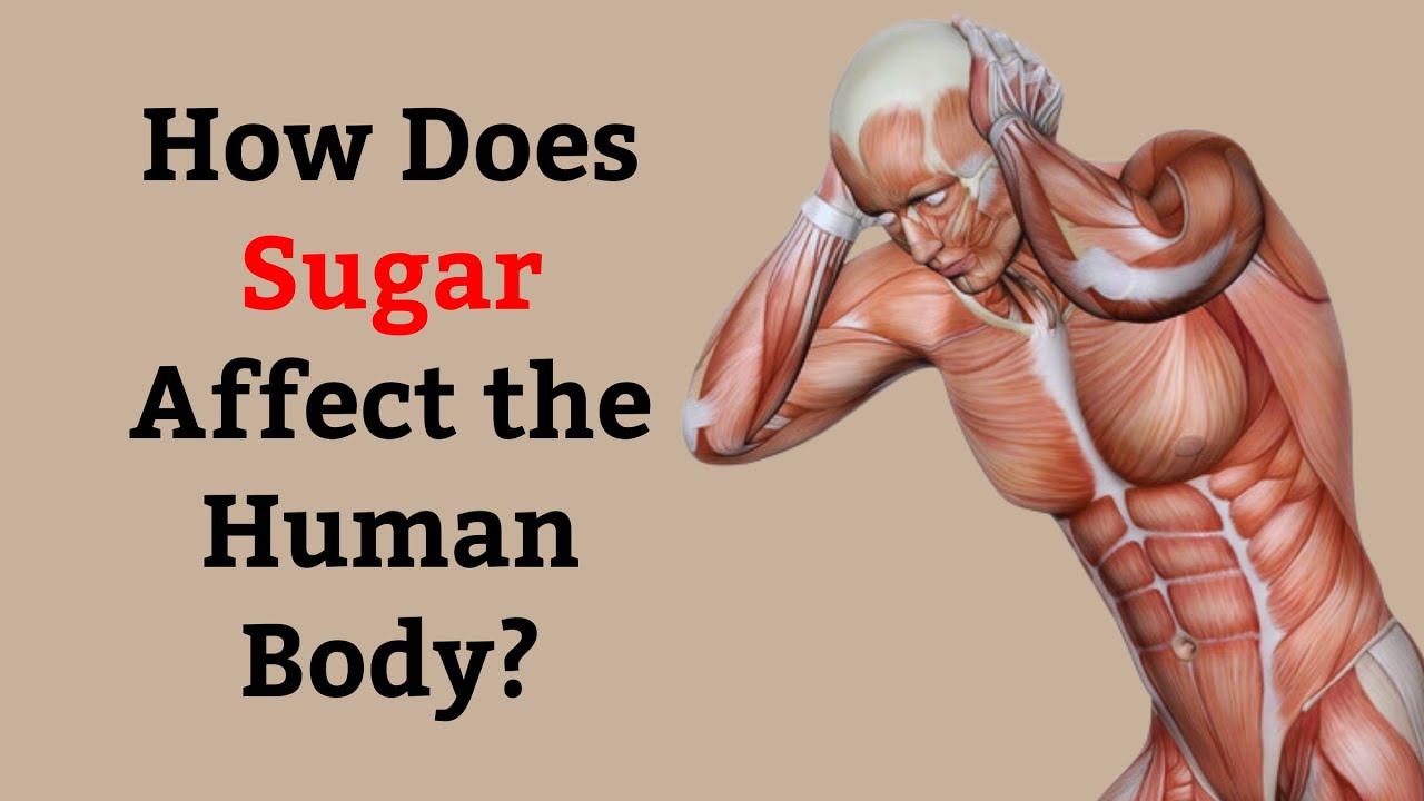 What Happens in Your Body When You Eat Sugar Every Day - YouTube