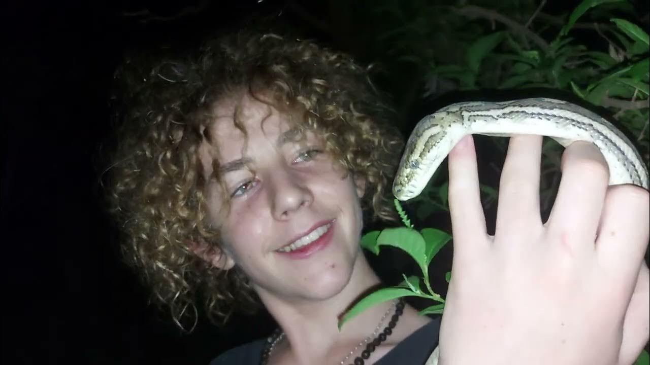 Carpet Python CONSTRICTS Boys Hand - YouTube