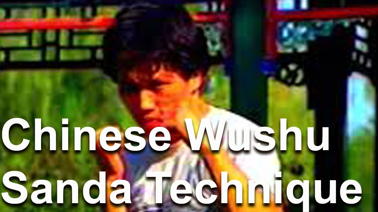 中国武术散打技术 Chinese Wushu Sanda Technique - YouTube